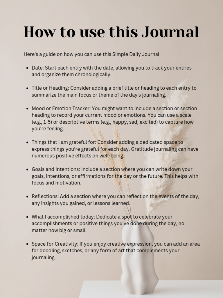Simple Daily Journal Guide | PDF | Mental Health | Mood (Psychology)