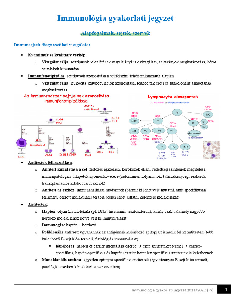 Immunológia Gyakorlati Jegyzet | PDF