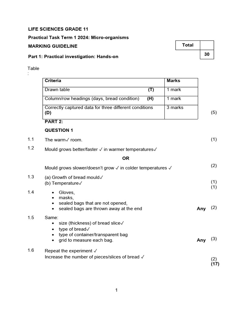 Grade 11 Practical Task Term 1 2024 MG | PDF | Mold | Cognition