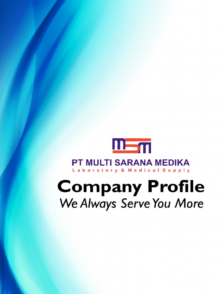 Company Profile MSM 2017 | PDF