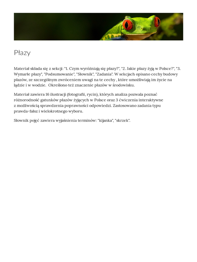 Plazy | PDF