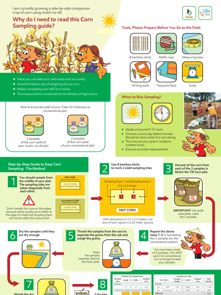 CORN SAMPLING_Infographic_ENG_2 Pages | PDF | Maize | Mulch