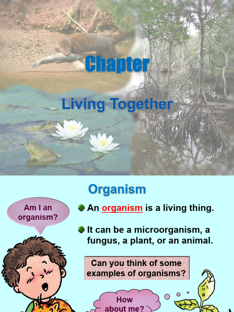 L4 - P6 Notes - Living Together | PDF