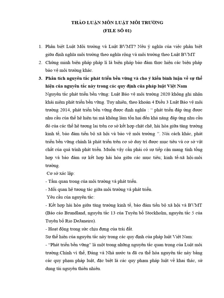 Thao luan LMT FILE SỐ 01 | PDF