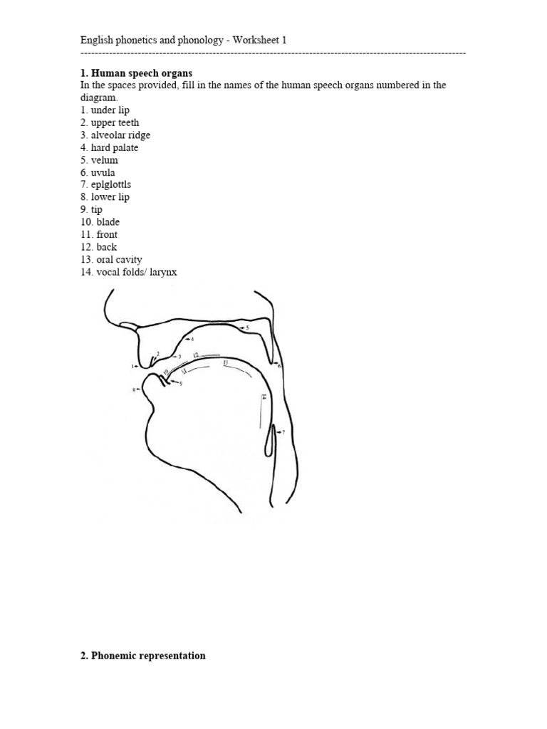 ASSIGNMENT 1 NA AV | PDF | Phonetics | Linguistics