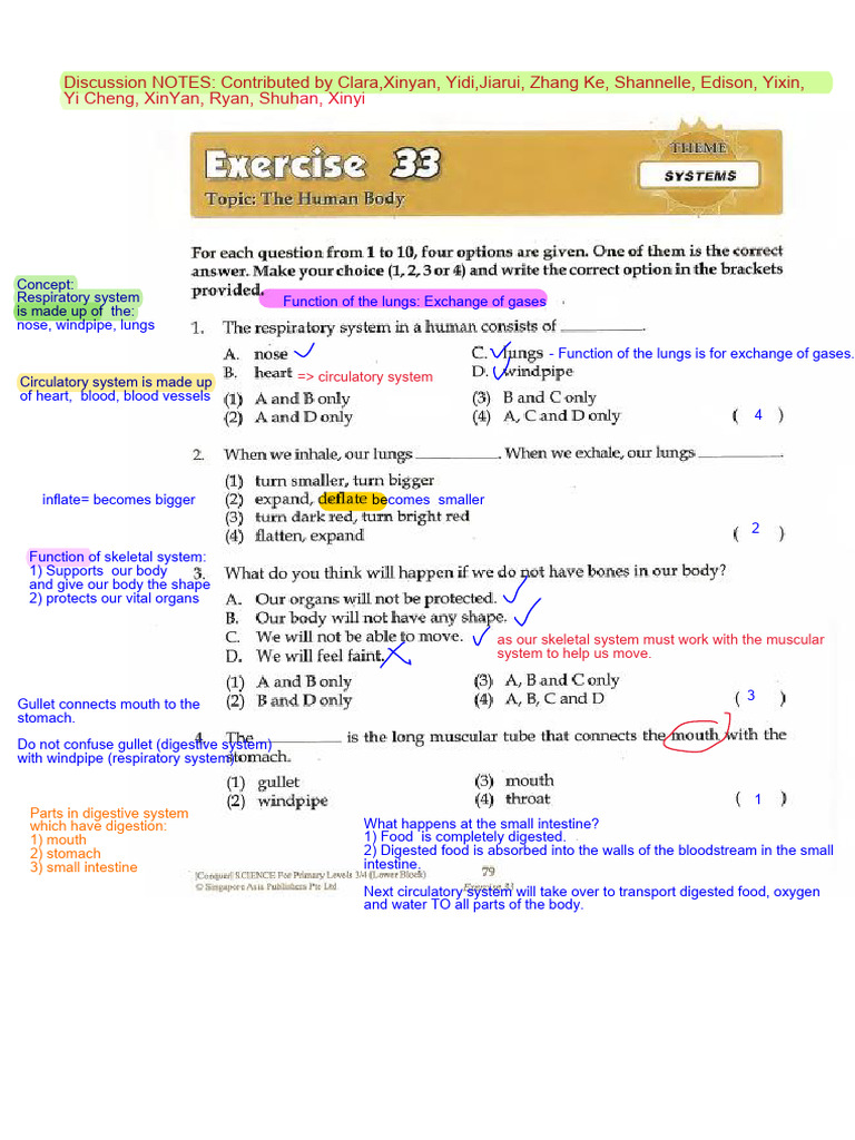 Discussion Notes Ex33 Human Body Sym | PDF | Respiratory System | Digestion