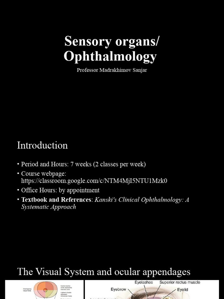 Anatomy of The Eye | Download Free PDF | Retina | Cornea