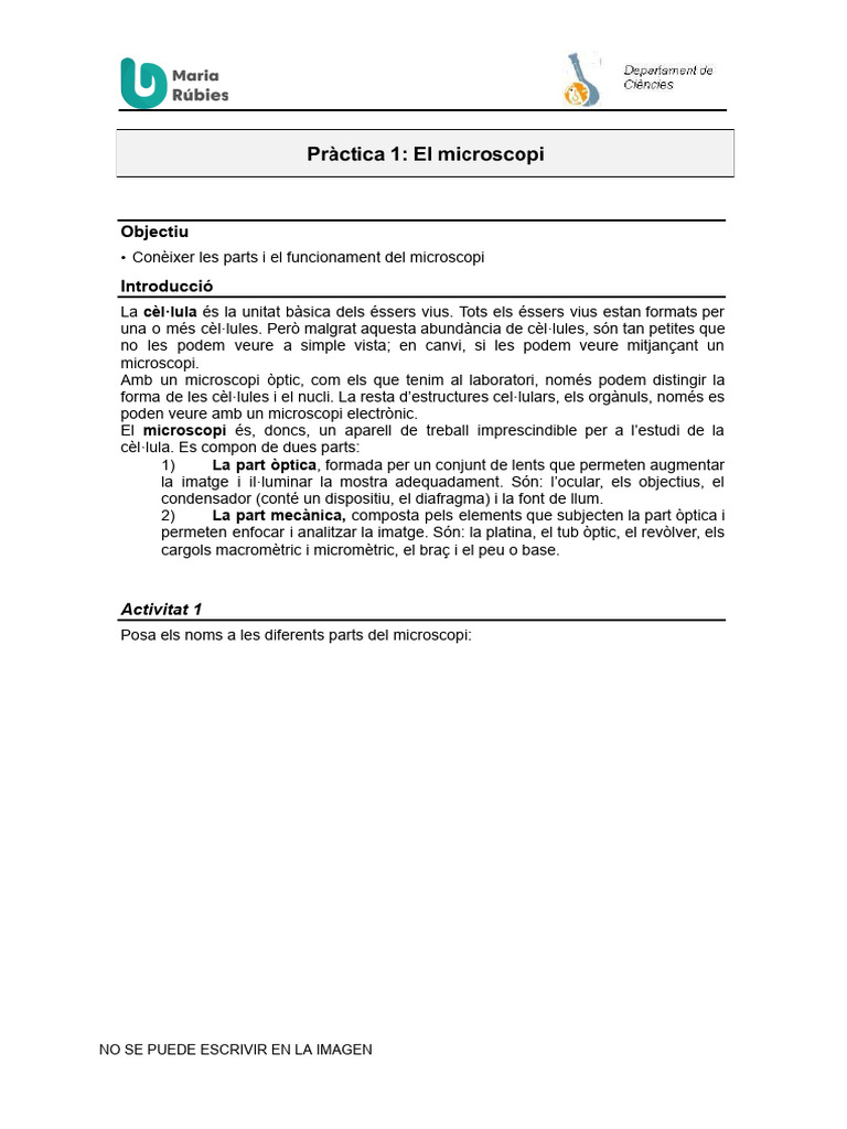 Pràctica 1 El Microscopi | PDF