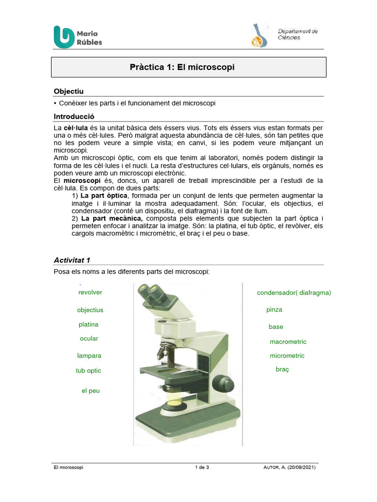 Pràctica 1 El Microscopi | PDF