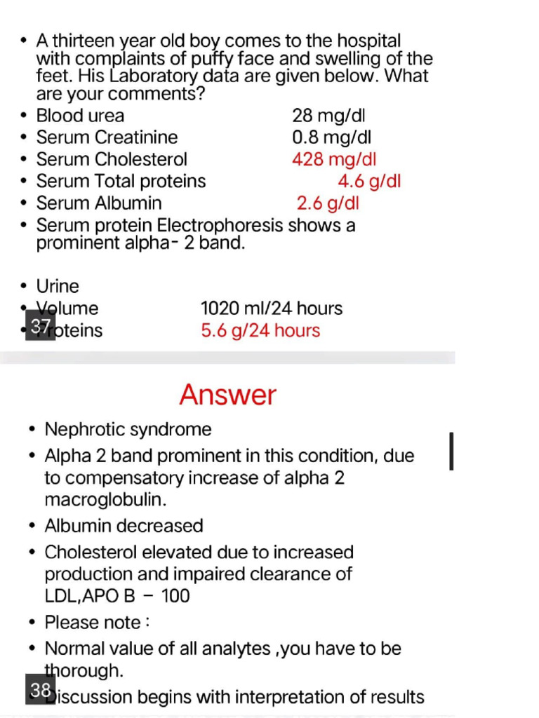 Kidney Charts | PDF