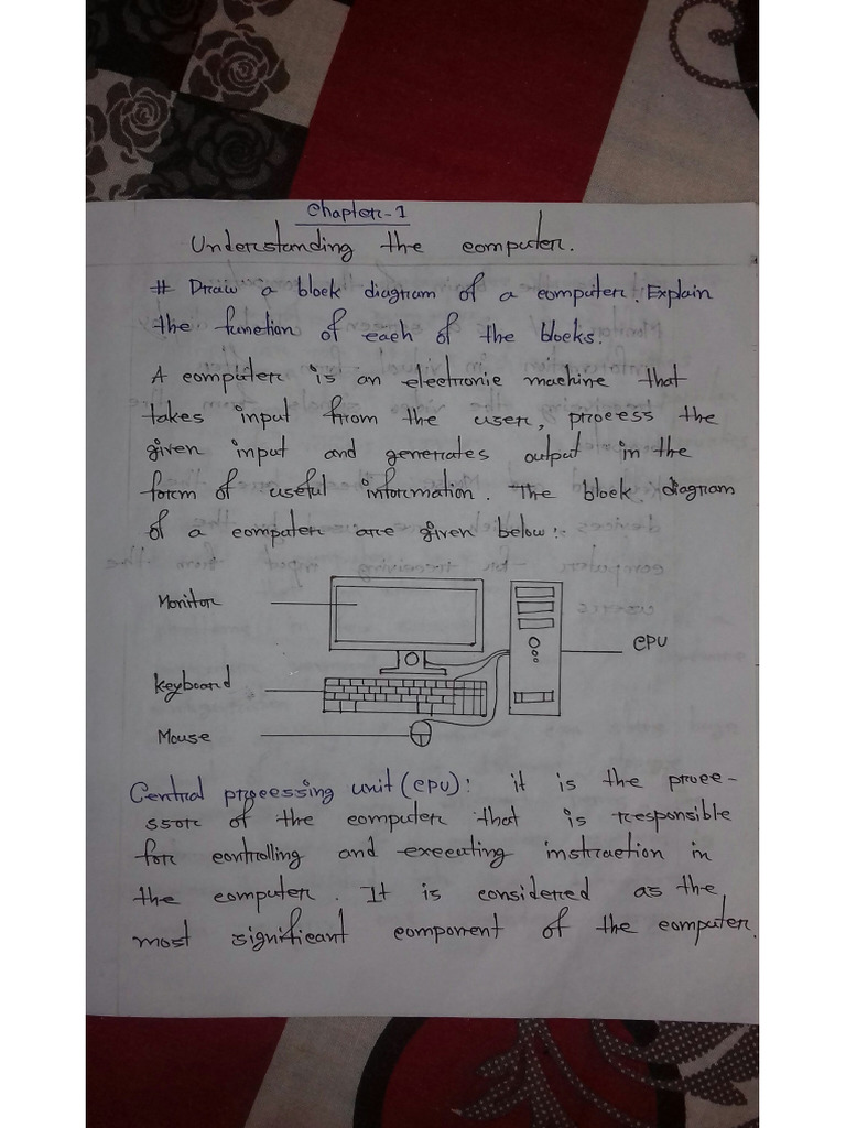 1202 Assignment Pdf 