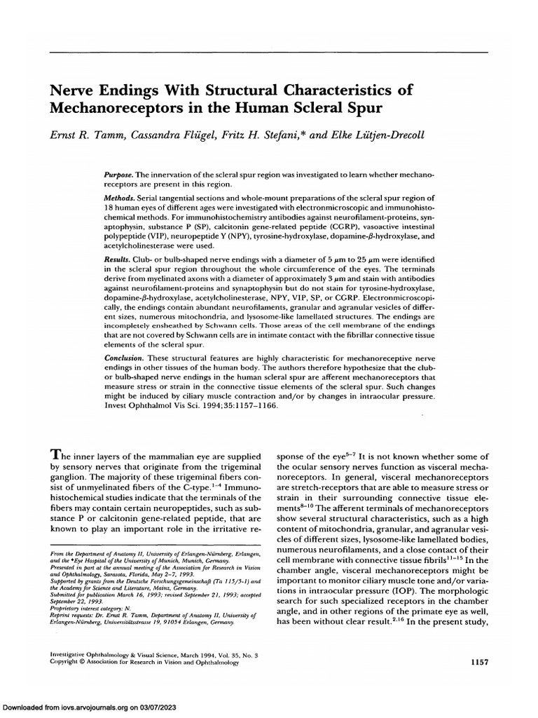 @1994.Tamm.Nerve endings with structural characteristics of ... @1994.Tamm.Nerve endings with structural characteristics of ...