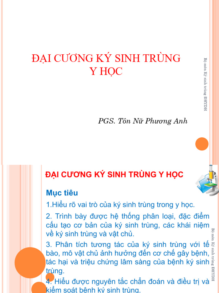 ĐC KST | PDF
