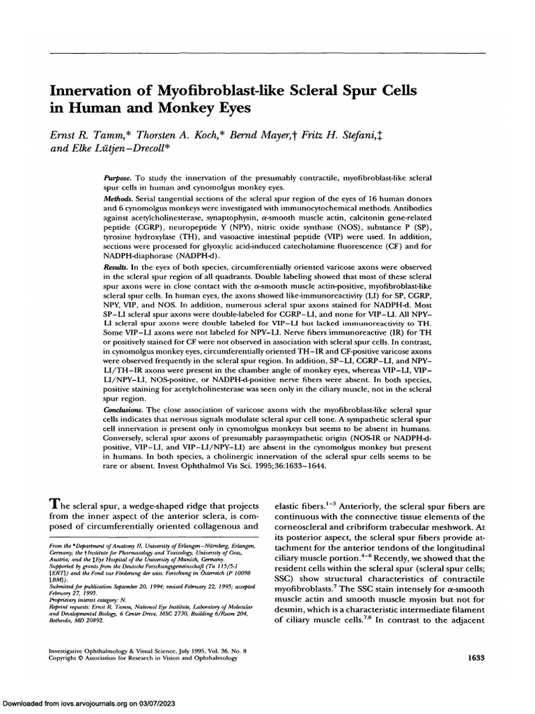@1995.tamm - Innervation of Myofibroblast-Like Scleral Spur Cells in ...