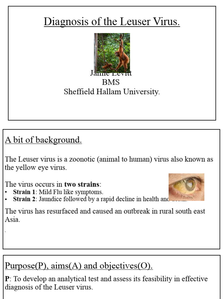 Leuser Virus Diagnosis via Enzyme Assay | PDF | Elisa | Assay