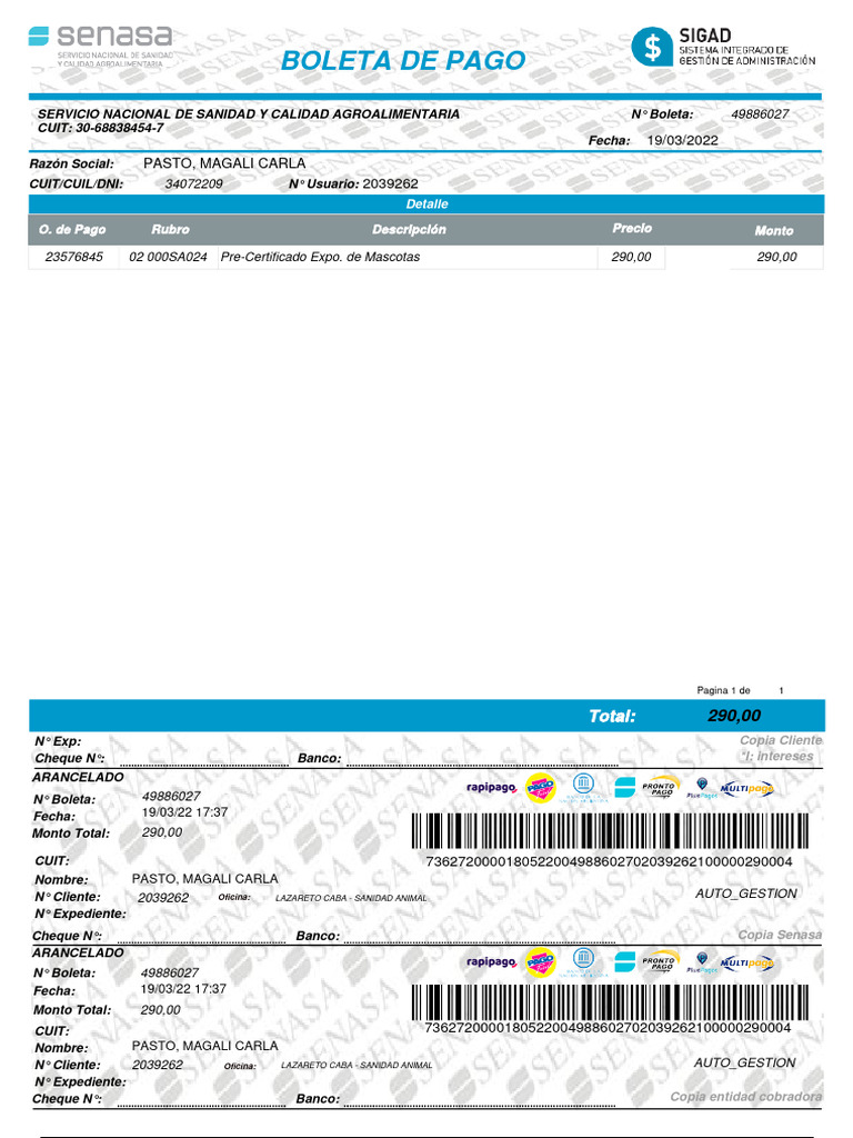 Factura Senasa 1 | PDF | Bancario | Servicios financieros