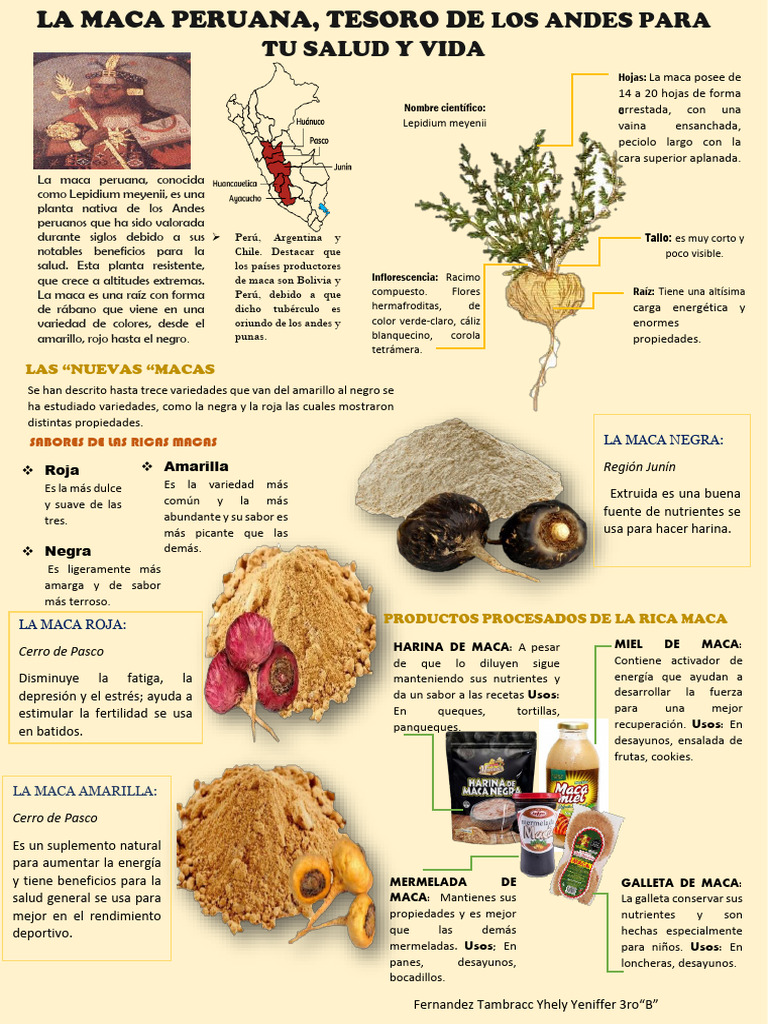 Infografia Css | PDF | Plantas comestibles | Botánica