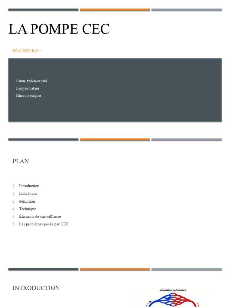 Pompe CEC | PDF | Sang | Cœur