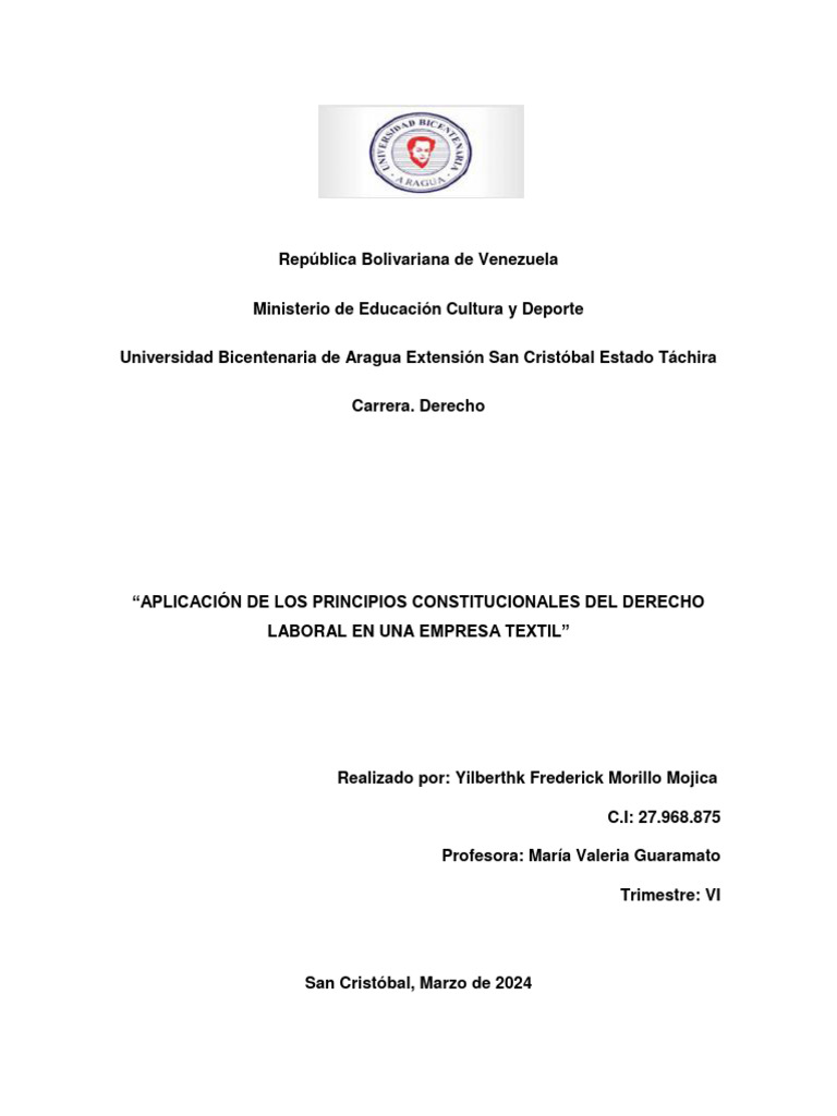 Informe Sobre Los Principios Del Derecho Laboral Descargar Gratis Pdf