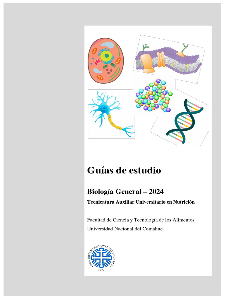 Guias de Estudio 2024 | PDF | Carbohidratos | Organismos