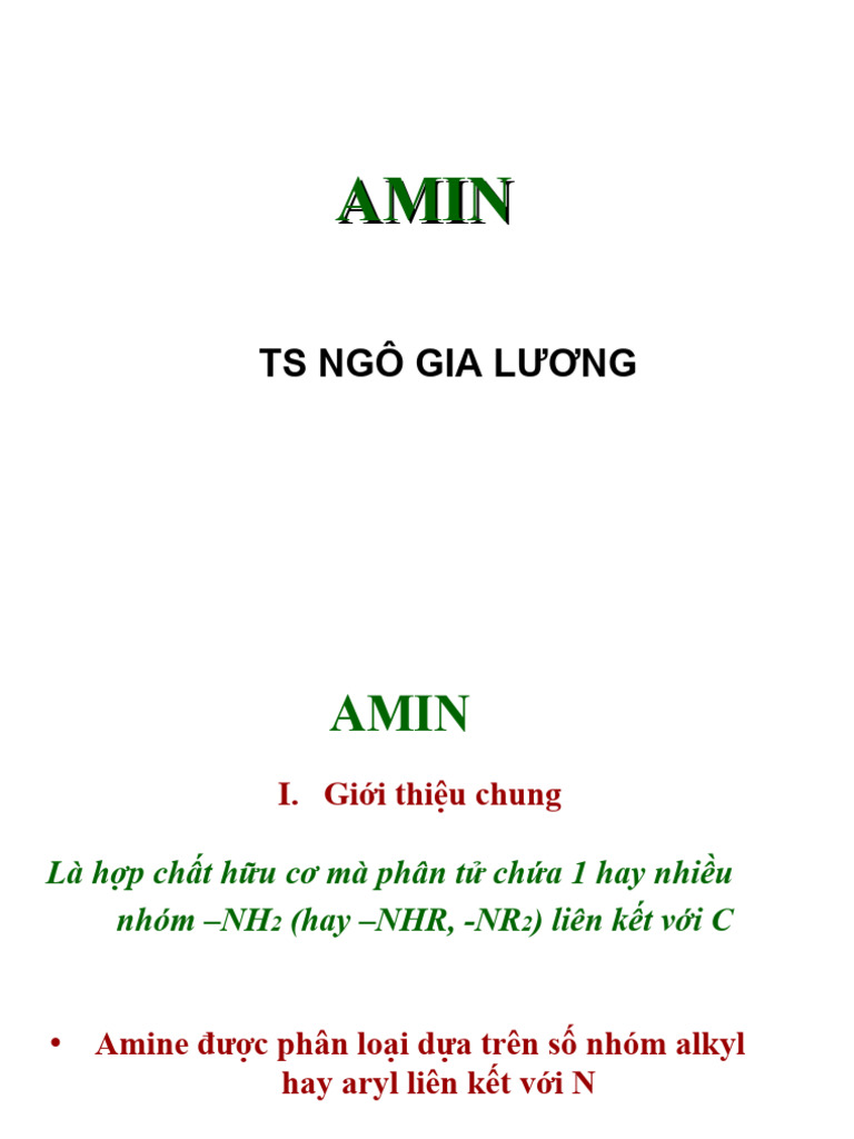 12, Amin | PDF