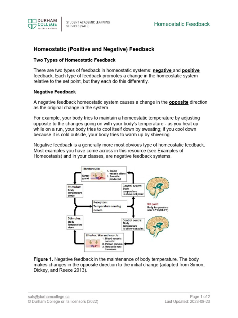 Homeostatic-Positive-and-Negative-Feedback | PDF | Homeostasis ...