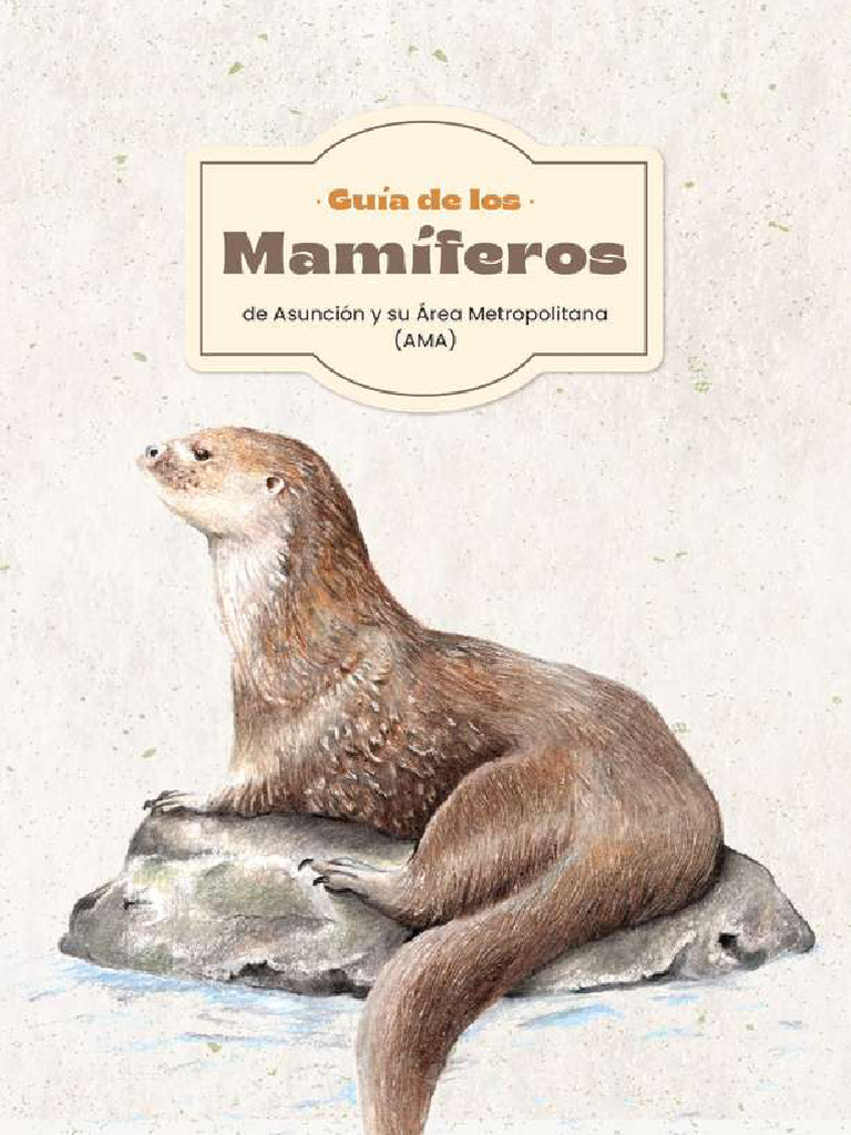 Guia de Mamíferos | PDF | Mamíferos