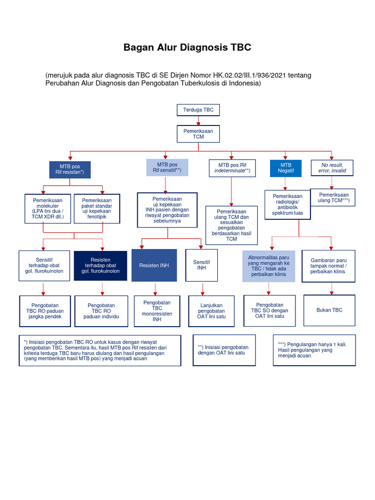01_Bagan Alur Diagnosis TBC_v1-0 | PDF