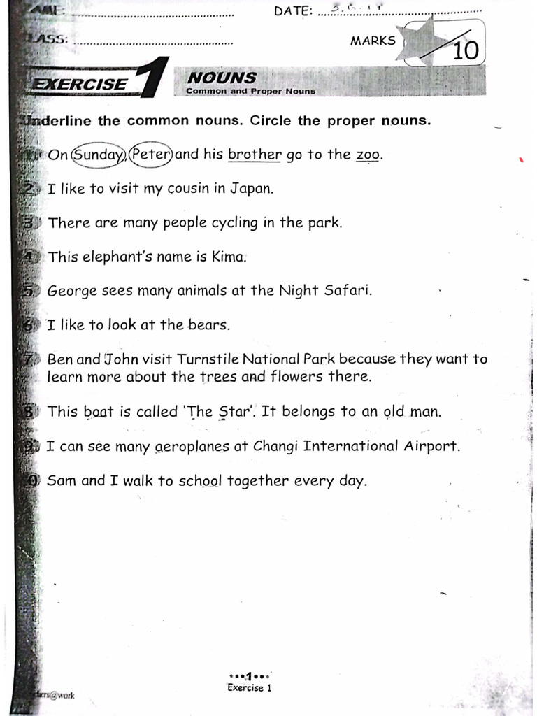 Practice Test For Nouns and Pronouns | PDF