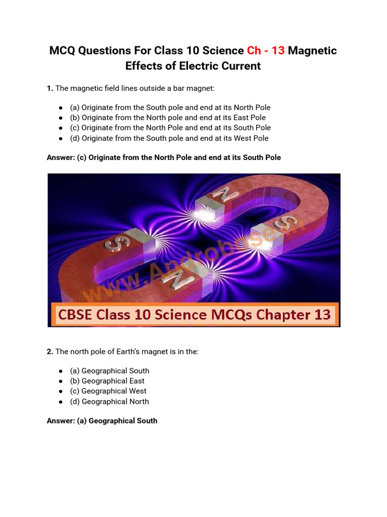 Class 10 MCQs on Magnetic Effects | PDF | Magnetic Field | Inductor