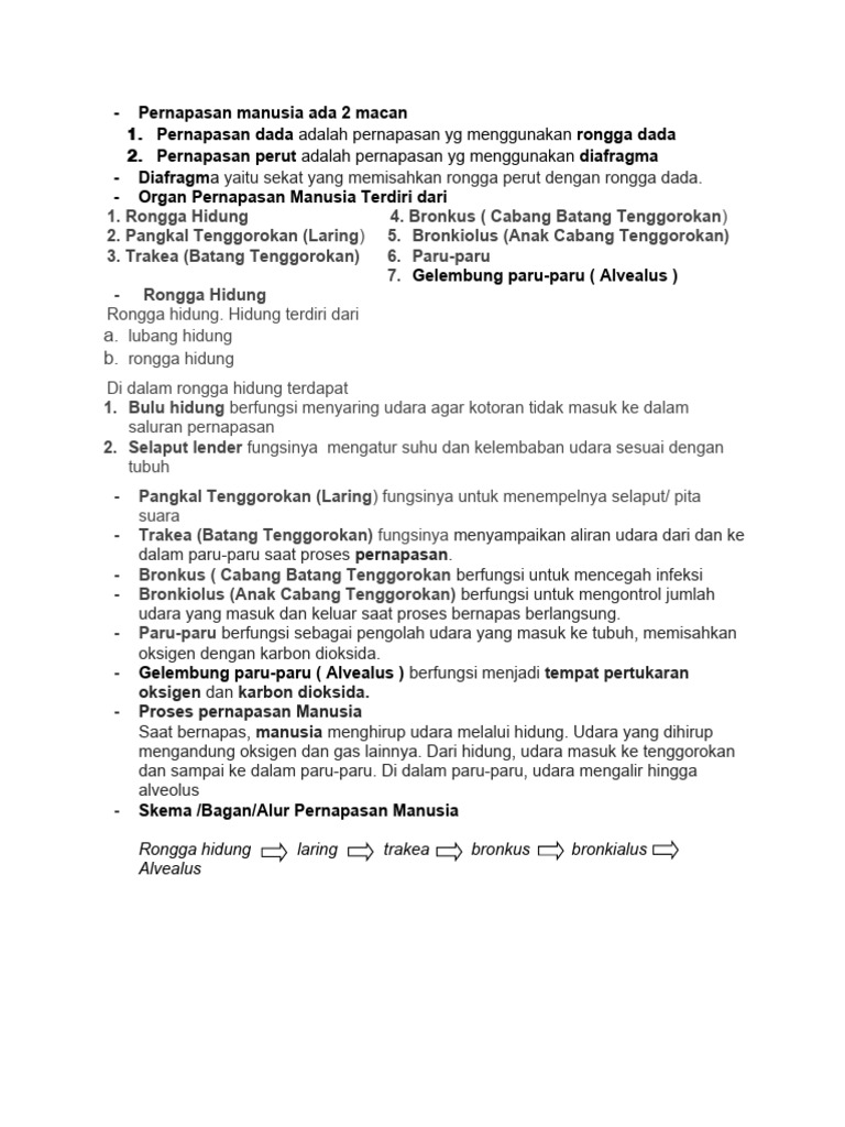 Organ Pernapasan Manusia Suraji | PDF | Kajian Bahasa Asing