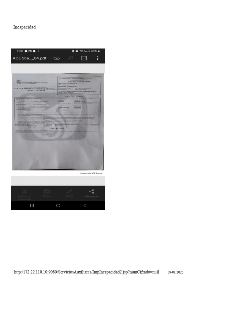 Gestión de Incapacidad Laboral | PDF
