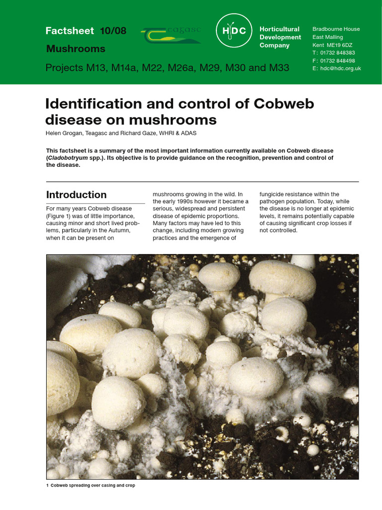 Identi Cation and Control of Cobweb Disease On Mushrooms | PDF ...