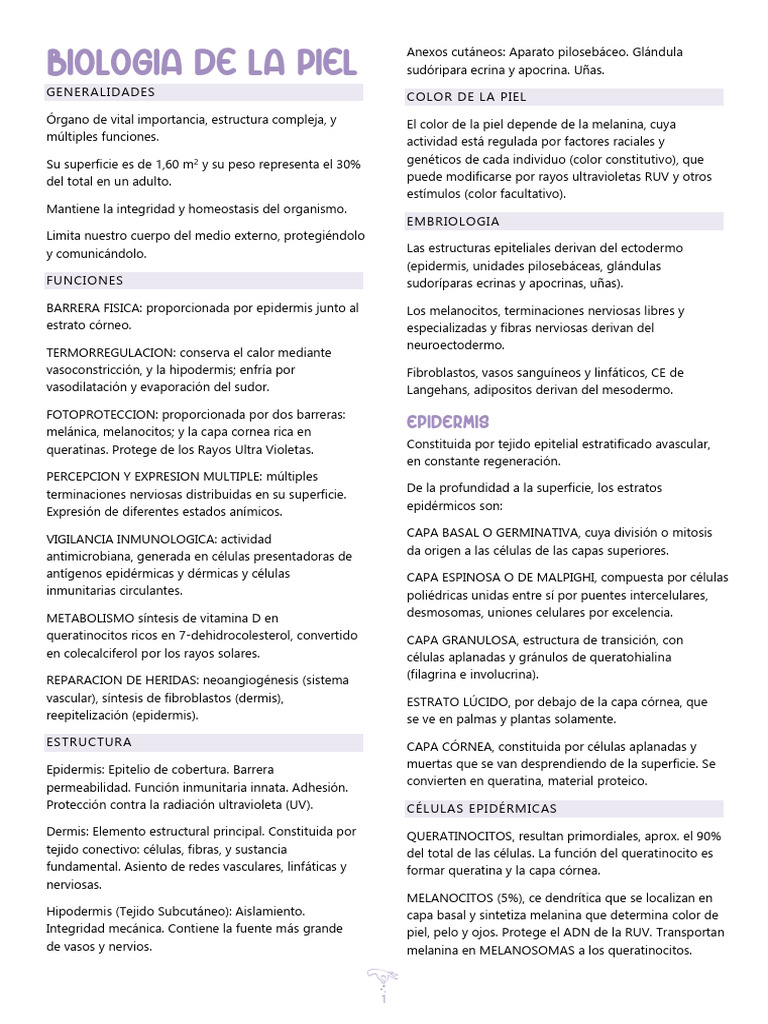 Biologia de La Piel | PDF | Piel | Epidermis