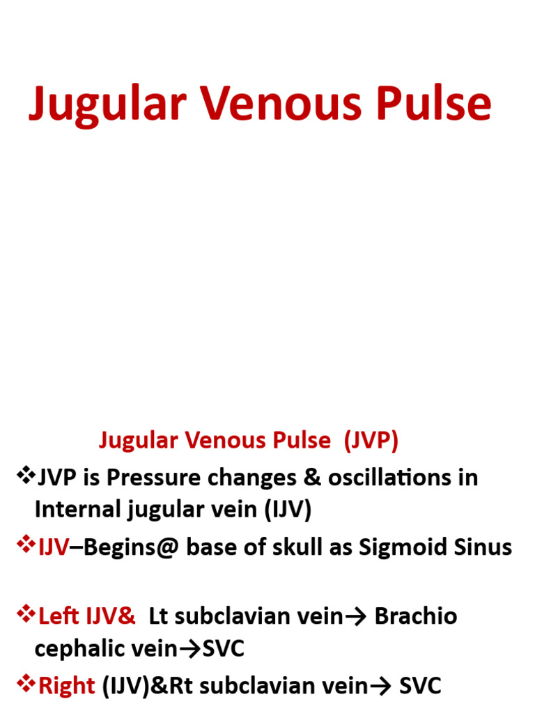 Jugular Venous Pulse | PDF | Atrium (Heart) | Vein