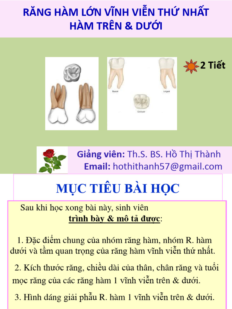 GFR Bai 8 - R Ham 1tren Duoi Day 23gui | PDF