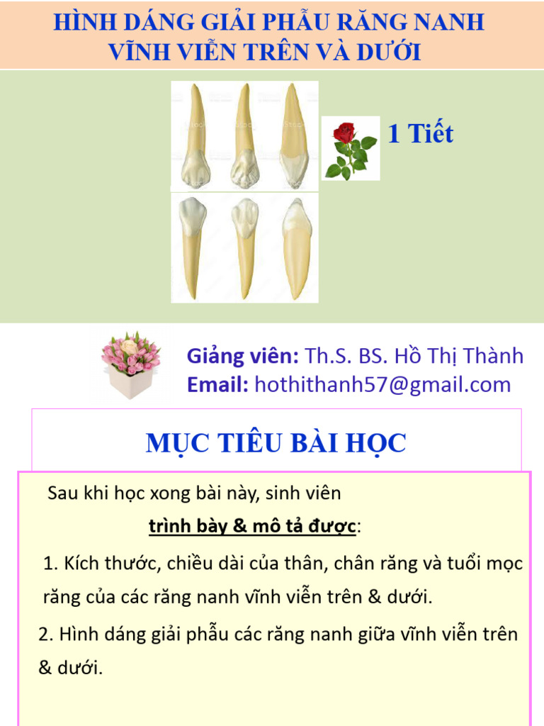 GFR Bai 5 - R Nanh Tren& Duoi Inday 23gui | PDF