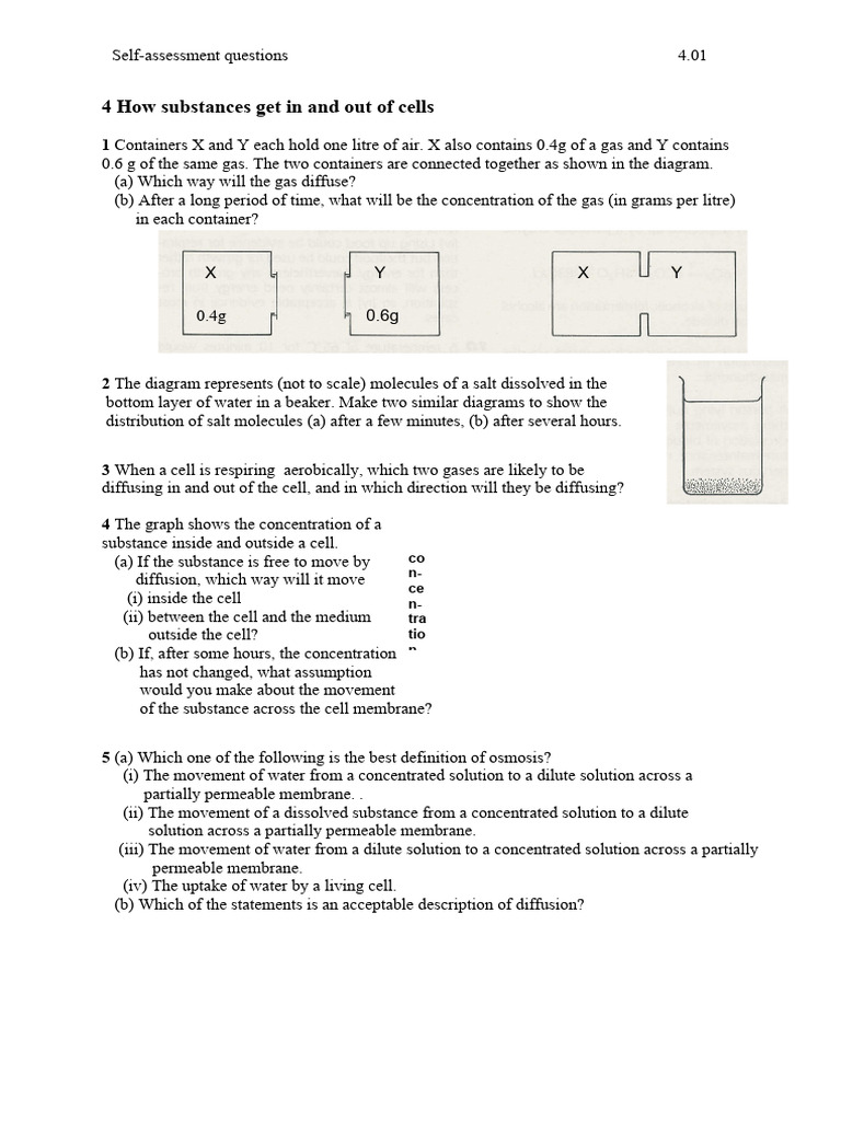 FORM 1 Diffusion Osmosis Questions | Download Free PDF | Osmosis | Cell ...