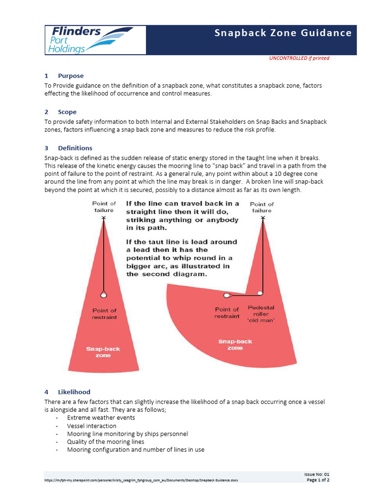Snapback Guidance | PDF | Risk | Safety