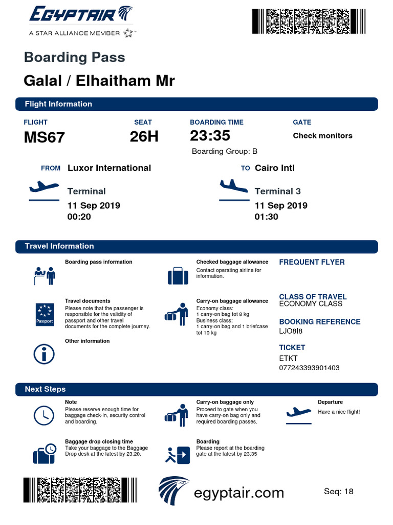Your Boarding Pass | PDF | Baggage | Aviation