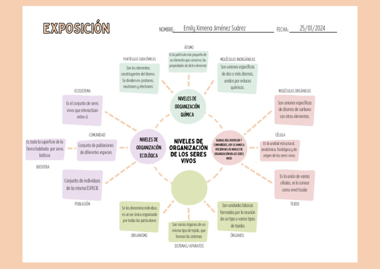 Concept Map Graphic Organizer | PDF Concept Map Graphic Organizer | PDF