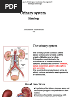 Label The Nephron Worksheet | PDF