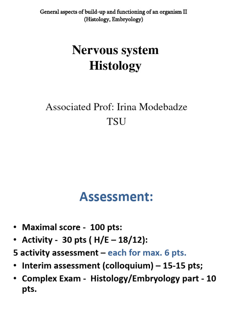 Body System II 1 Nerv 1 | PDF | Chemical Synapse | Synapse