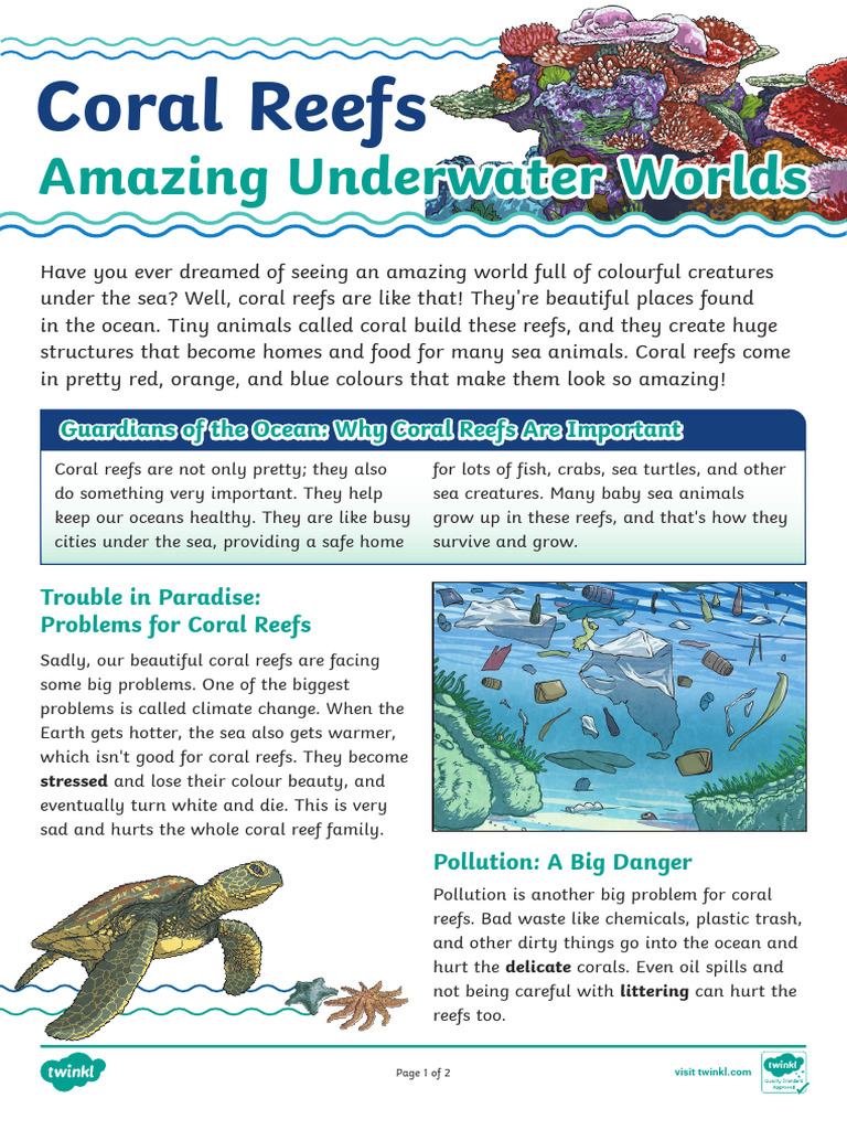 Coral Reefs - Amazing Underwater Worlds | PDF | English As A Second Or ...