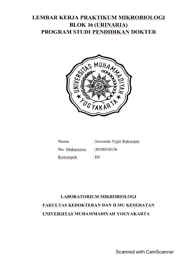 Mikrobiologi Gonorrhoe - 20180310136 - Juwen | PDF