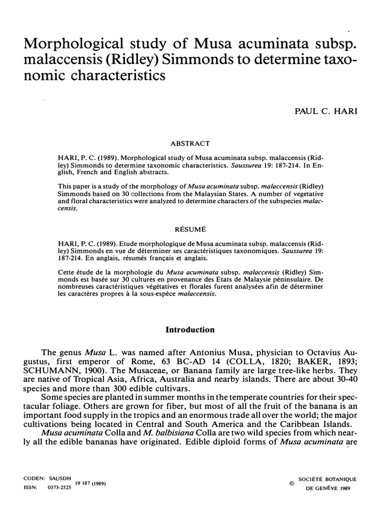 Morphological Study of Musa Acuminata Subsp. Malaccensis | PDF | Banana | Leaf