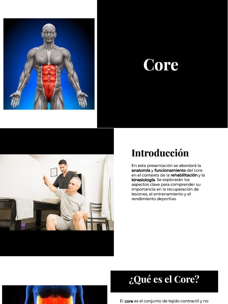Anatomía y Función del Core en Rehabilitación | PDF | Articulación | Pelvis