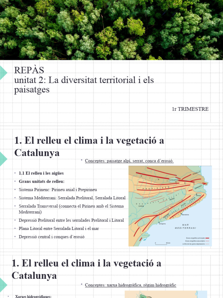 Repas Ii | PDF