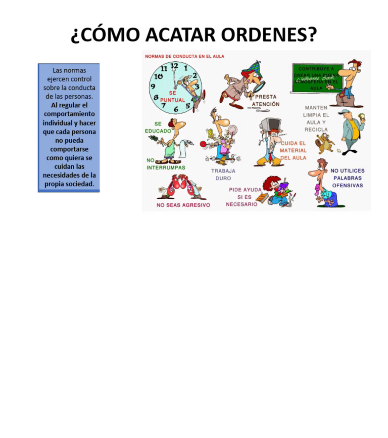 ACATAR ORDENES | PDF