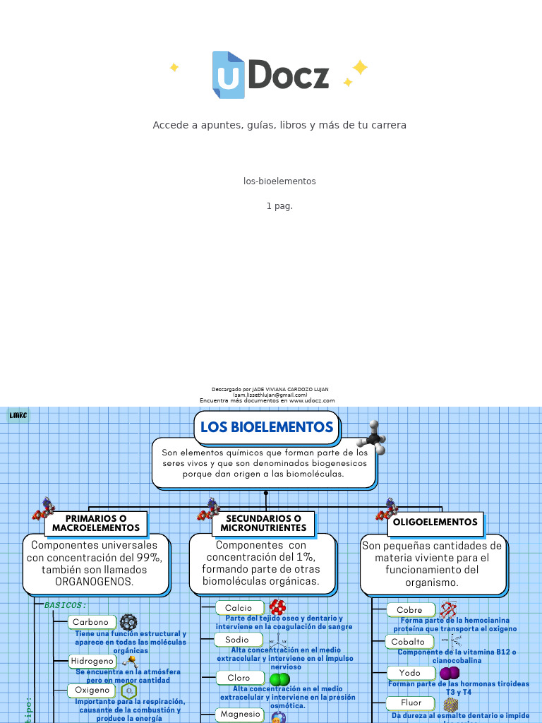 Bioelementos: Funciones y Tipos Esenciales | PDF | Biomoléculas ...